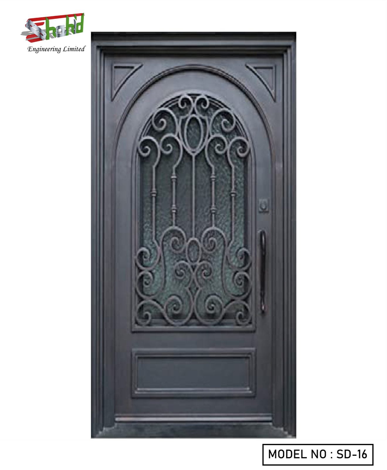 Modern, distinctive, and secure steel doors for homes